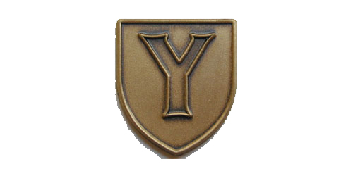 Letter Y Lapel Pin
